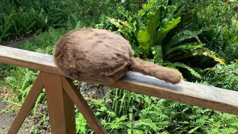 【Qoobo・レビュー】クーボが人気の理由と一緒に暮らしてみた感想 | Rhythm Slow｜リズムスロー